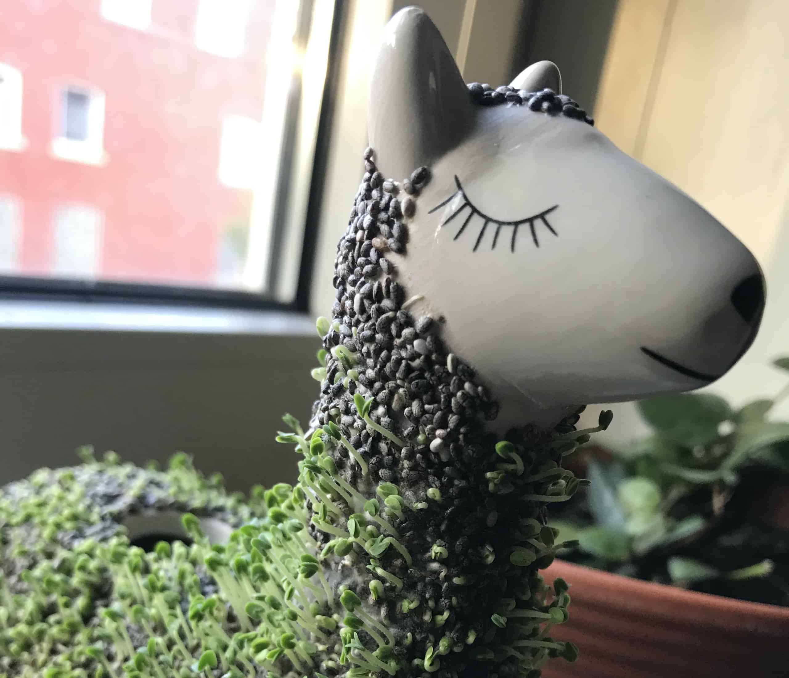 Why it makes a Difference to take a short Shower | Civil Integrity